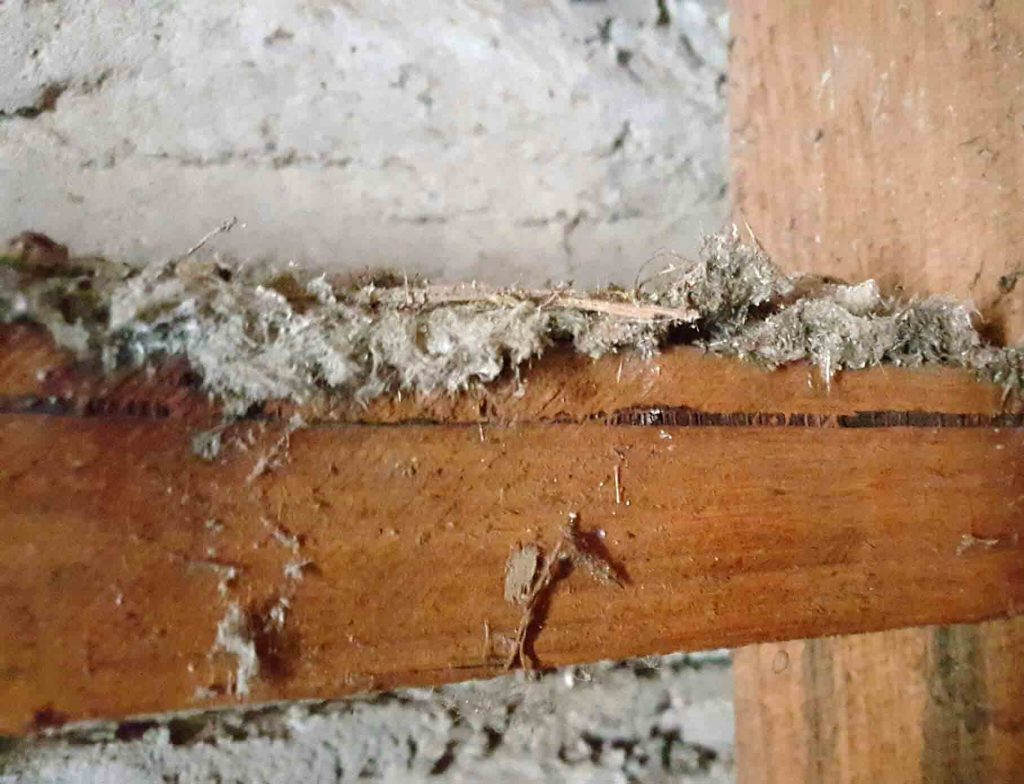 Reasons why asbestos is dangerous